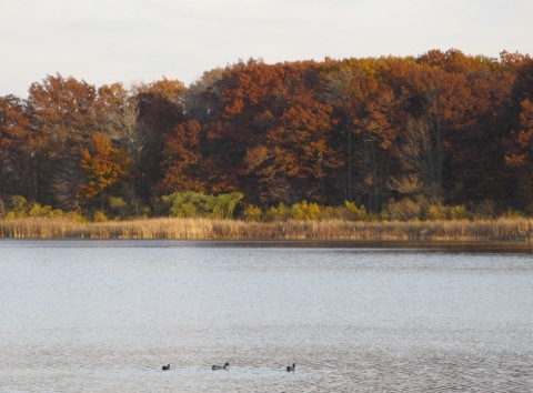 douglas-november – Vacation Home Rentals- Saugatuck and Fort Lauderdale